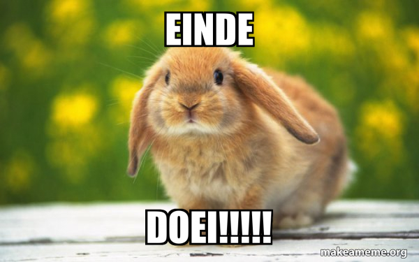 einde doei!!!!! - Regretful Rabbit Meme Generator