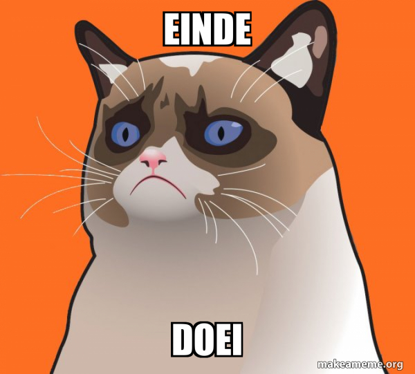 einde doei - Cartoon Grumpy Cat Meme Generator