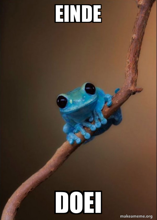 Einde doei - Small Fact Frog Meme Generator
