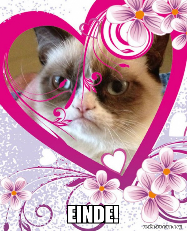einde! - Grumpy cat Valentines Day Meme Generator