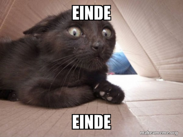 einde EINDE - Schitzo Cat Meme Generator