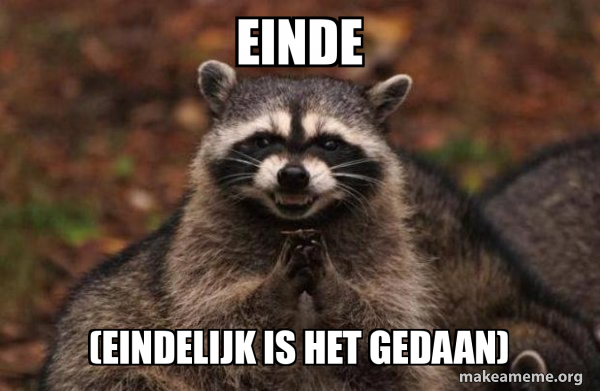 Einde (Eindelijk is het gedaan) - Evil Plotting Raccoon Meme Generator