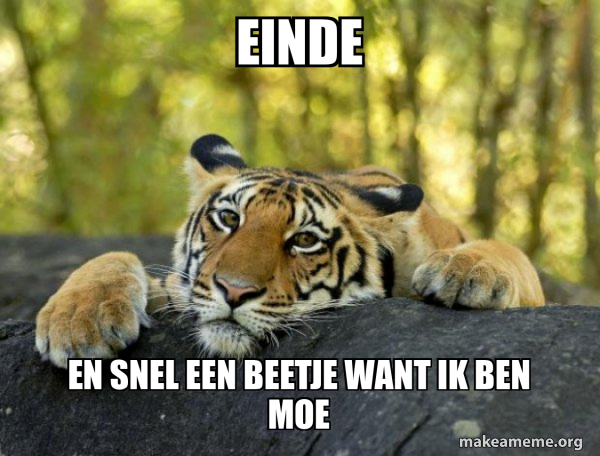 EINDE en snel een beetje want ik ben moe - Confession Tiger Meme Generator