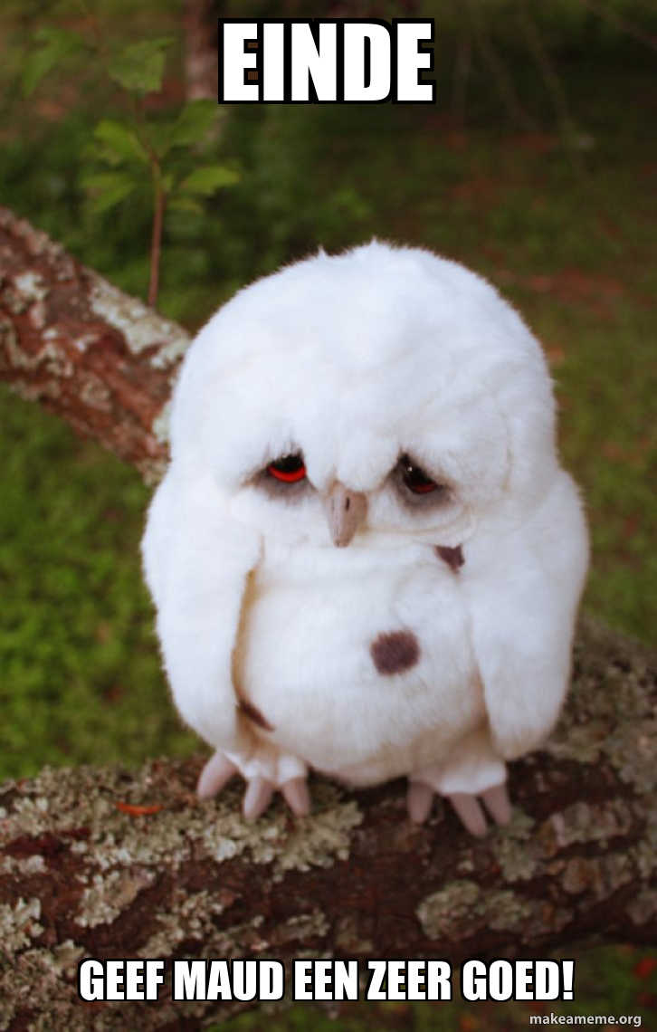 Einde Geef Maud een zeer goed! - Sad Owl Meme Generator