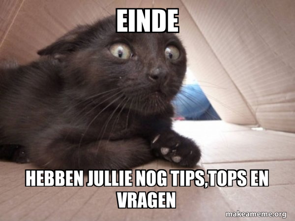 EINDE hebben jullie nog tips,tops en vragen - Schitzo Cat Meme Generator