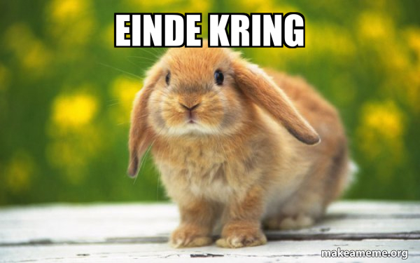 einde kring - Regretful Rabbit Meme Generator