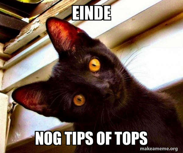 Einde Nog tips of tops - Overly Attached Cat Meme Generator