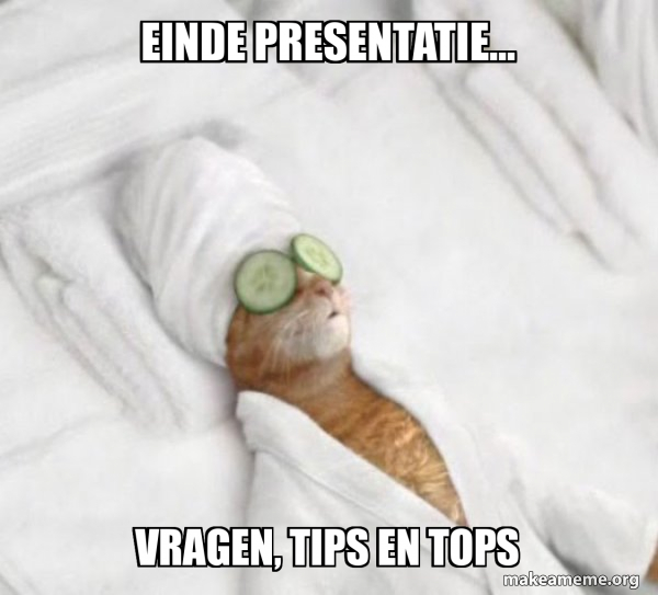 einde presentatie... vragen, tips en tops - Pampered Cat Meme Meme Generator