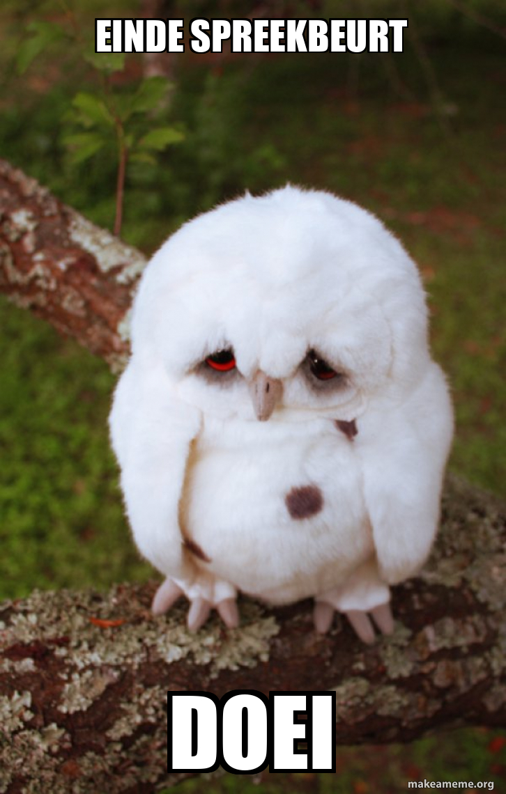 einde spreekbeurt doei - Sad Owl Meme Generator