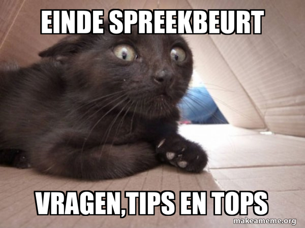 einde spreekbeurt vragen,tips en tops - Schitzo Cat Meme Generator
