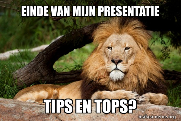 EINDE VAN MIJN PRESENTATIE TIPS EN TOPS? - Contemplative Lion Meme ...