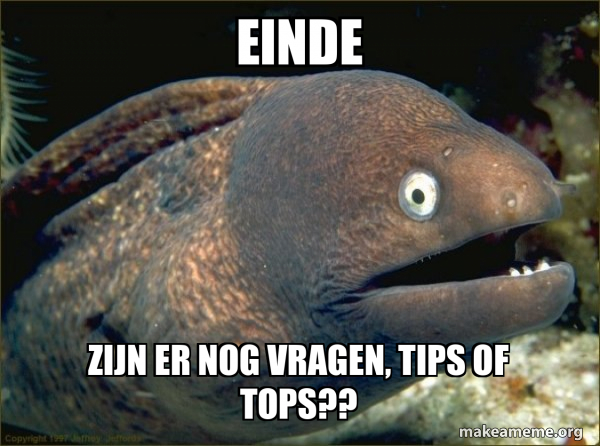 einde zijn er nog vragen, tips of tops?? - Bad Joke Eel Meme Generator