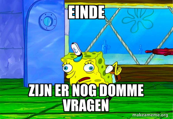 einde zijn er nog domme vragen - Mocking SpongeBob Meme Generator