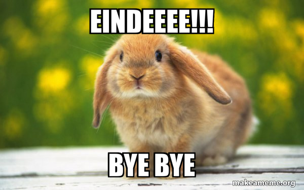 eindeeee!!! bye bye - Regretful Rabbit Meme Generator