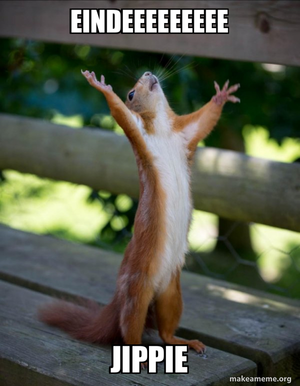 Eindeeeeeeeee Jippie - Happy Squirrel Meme Generator