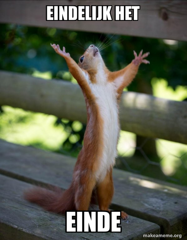 EINDELIJK HET EINDE - Happy Squirrel Meme Generator