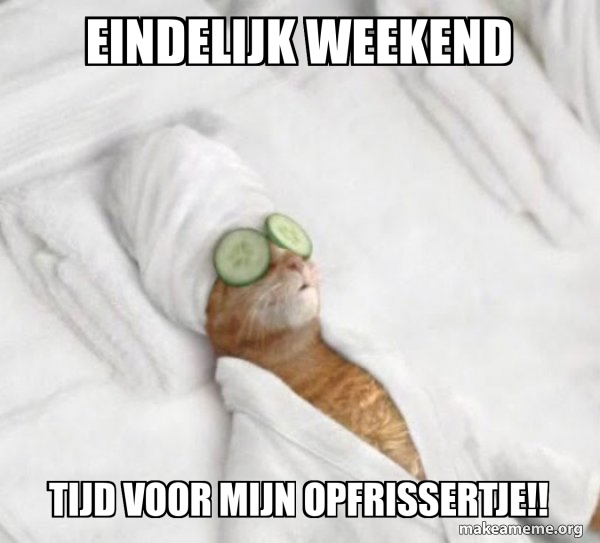 Eindelijk weekend Tijd voor mijn opfrissertje!! - Pampered Cat Meme ...