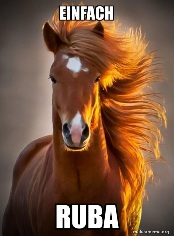 einfach ruba - Ridiculously photogenic horse Meme Generator