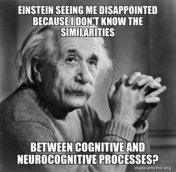 Einstein seeing me disappointed because I don't know the similarities ...