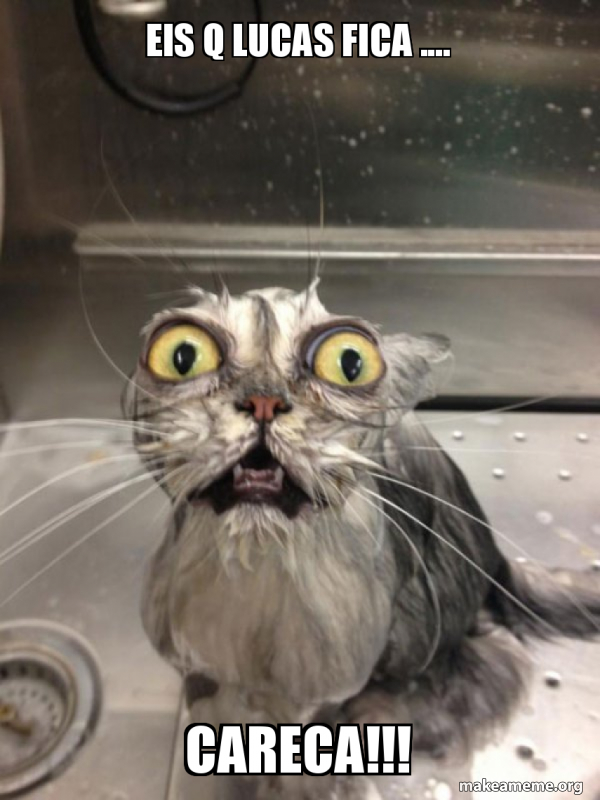 Eis q Lucas fica .... CARECA!!! - Cat bath Meme Generator