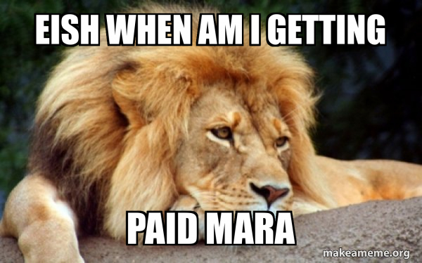 eish when am i getting paid mara - Confession Lion Meme Generator