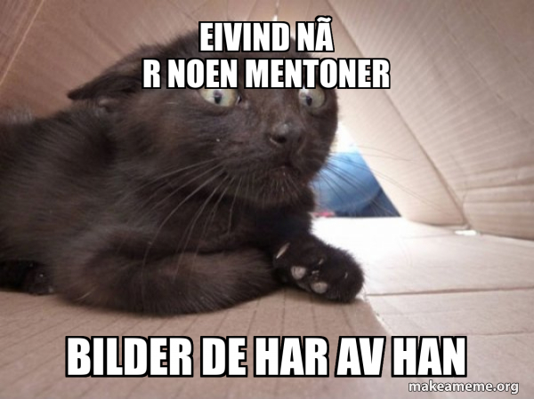 Eivind når noen mentoner bilder de har av han - Schitzo Cat Meme Generator