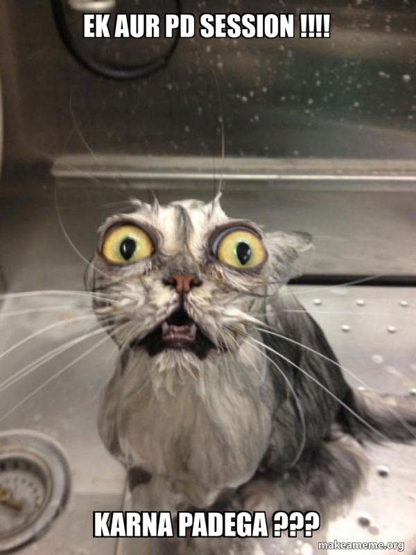 Ek aur PD session !!!! Karna padega ??? - Cat bath Meme Generator