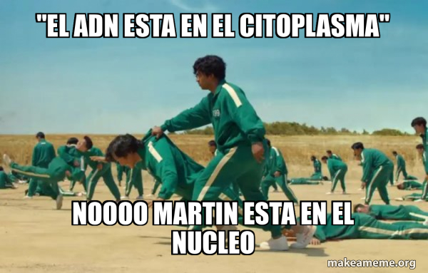 "El adn esta en el citoplasma" NOOOO martin esta en el nucleo - Squid ...