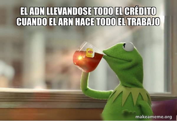 El ADN llevandose todo el crédito cuando el ARN hace todo el trabajo ...