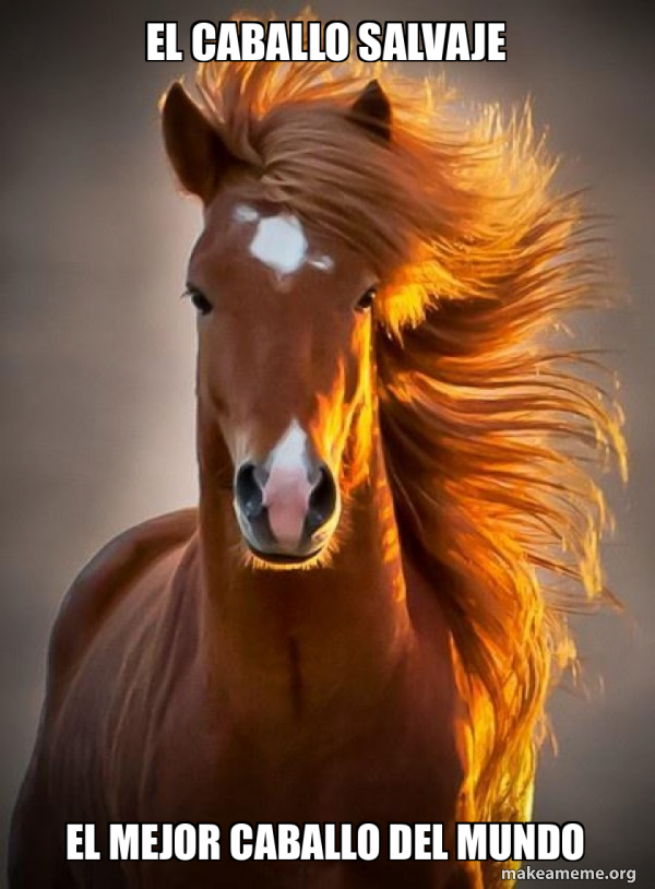 El caballo salvaje El mejor caballo del mundo - Ridiculously photogenic ...