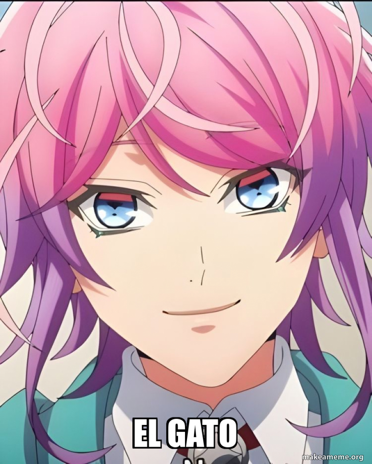 El gato Meme Generator