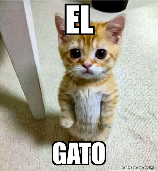 El Gato - Cute Cat Standing Meme Generator