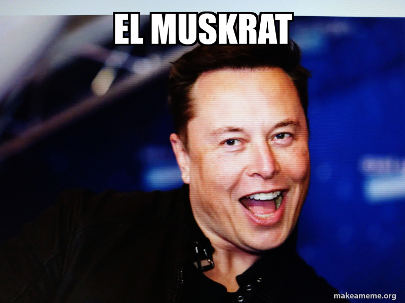 El Muskrat - El Musky Meme Generator