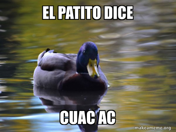 el patito dice CUAC AC - Zen Advice Mallard Meme Generator