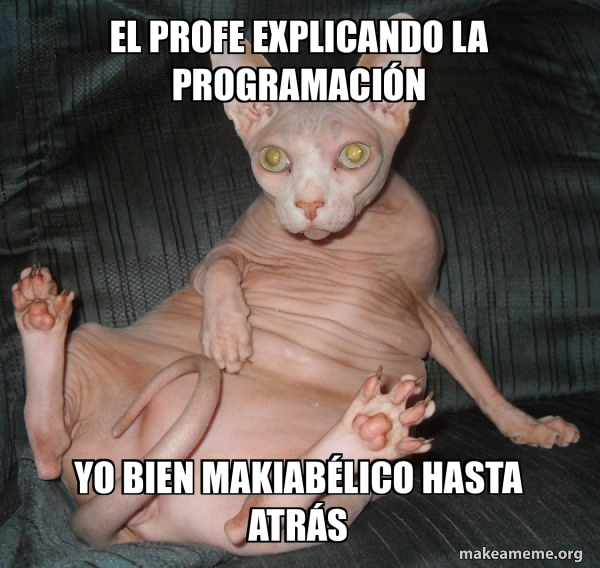El profe explicando la programación Yo bien makiabélico hasta atrás ...