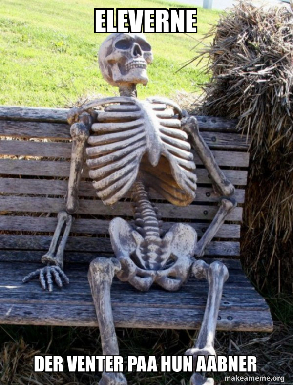 eleverne der venter paa hun aabner - Waiting Skeleton Meme Generator