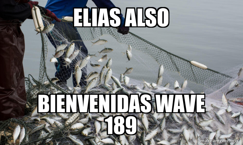 elias also bienvenidas wave 189 Meme Generator