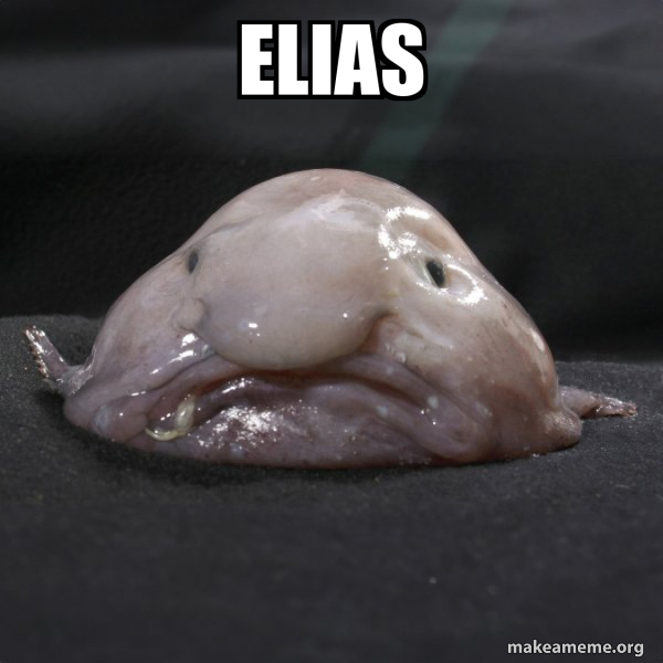 Elias - Blobfish Meme Generator