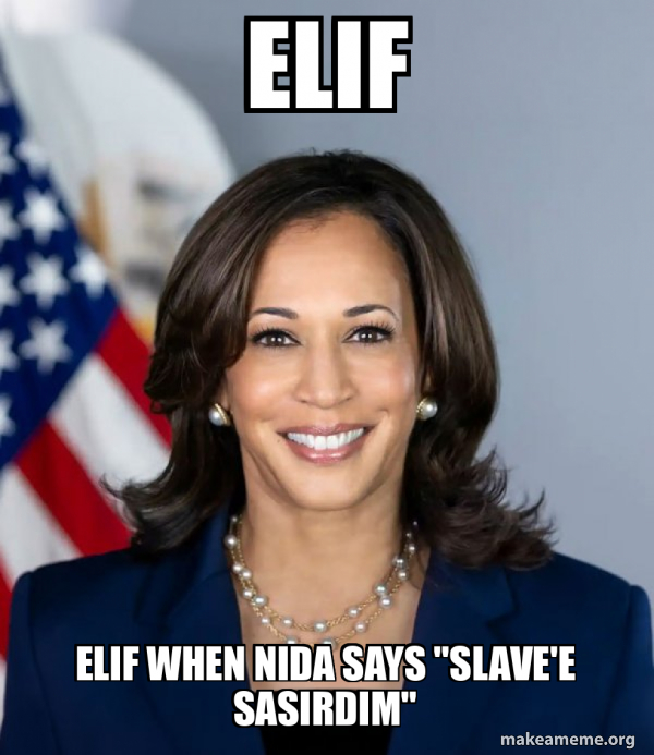 ELIF ELIF WHEN NIDA SAYS "SLAVE'E SASIRDIM" - Kamala Harris Meme Generator