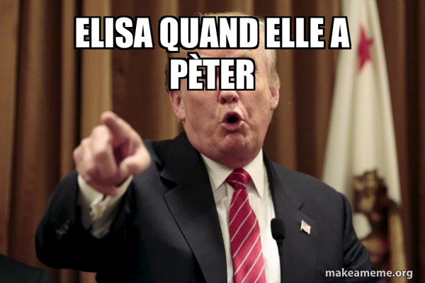 Elisa quand elle a pèter - Donald Trump Says Meme Generator