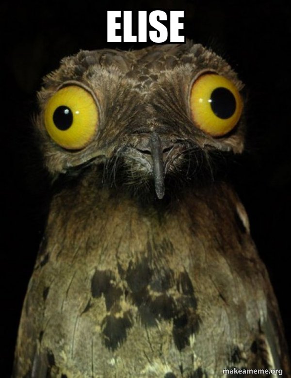 Elise - Weird Stuff I do Potoo Meme Generator