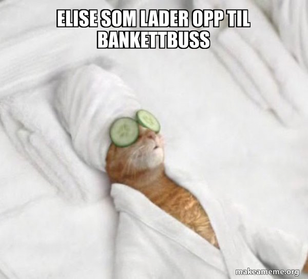 elise som lader opp til bankettbuss - Pampered Cat Meme Meme Generator