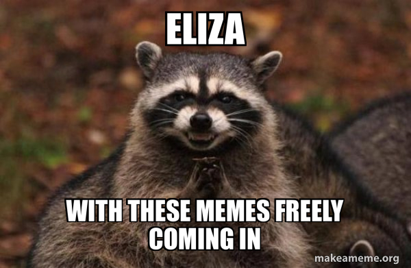 Eliza With these memes freely coming in - Evil Plotting Raccoon Meme ...