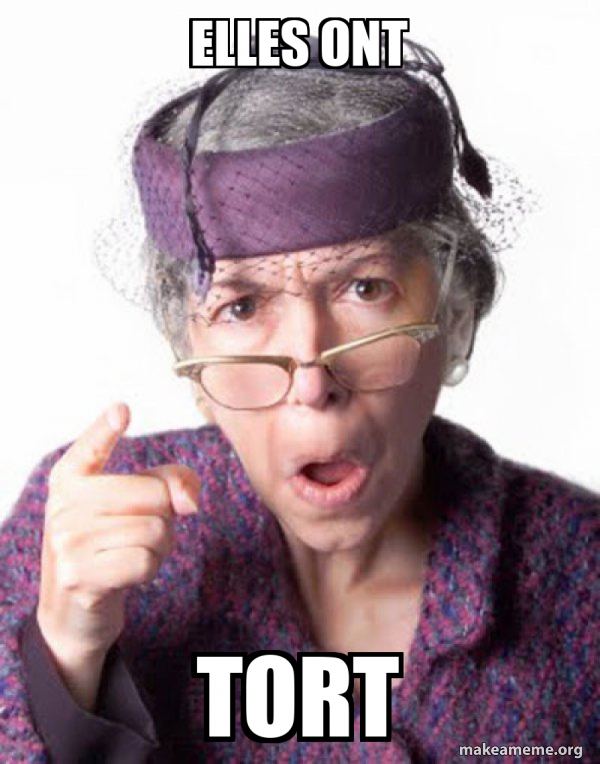 Elles ont Tort - Disapproving Grandma Meme Generator