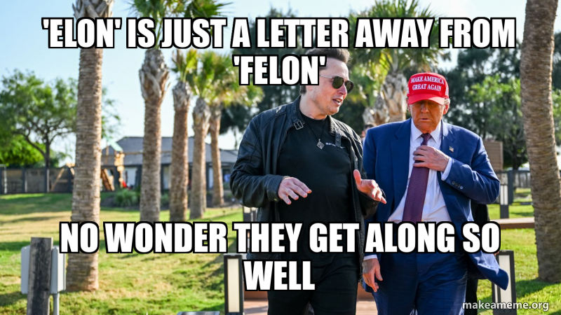 'elon' is just a letter away from 'felon' no wonder they get along so ...
