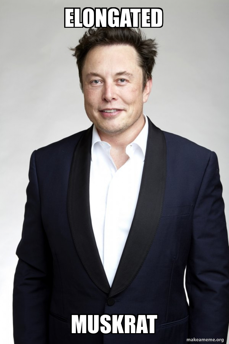 Elongated Muskrat - Elon Musk Meme Generator