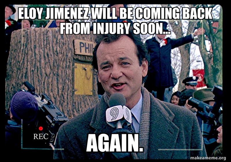 Eloy Jimenez will be coming back from injury soon... Again. Meme Generator