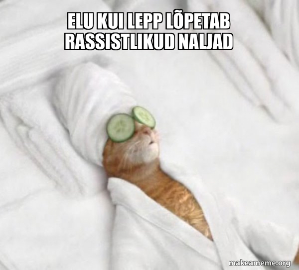 elu kui lepp lõpetab rassistlikud naljad - Pampered Cat Meme Meme Generator