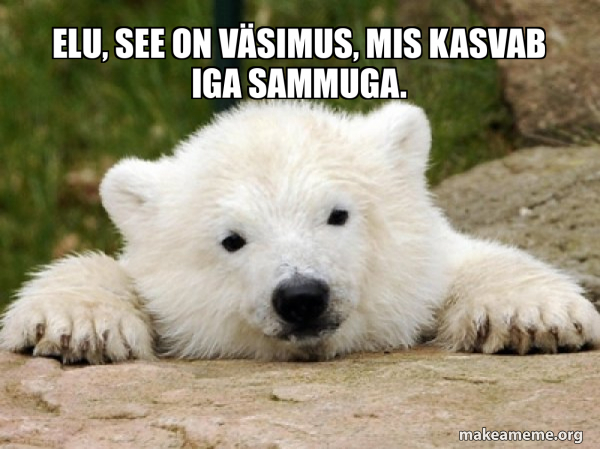 Elu, see on väsimus, mis kasvab iga sammuga. - Popular Opinion Bear ...