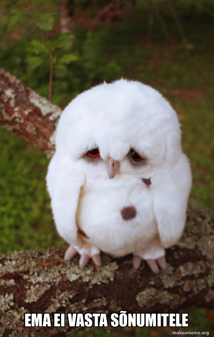 ema ei vasta sõnumitele - Sad Owl Meme Generator